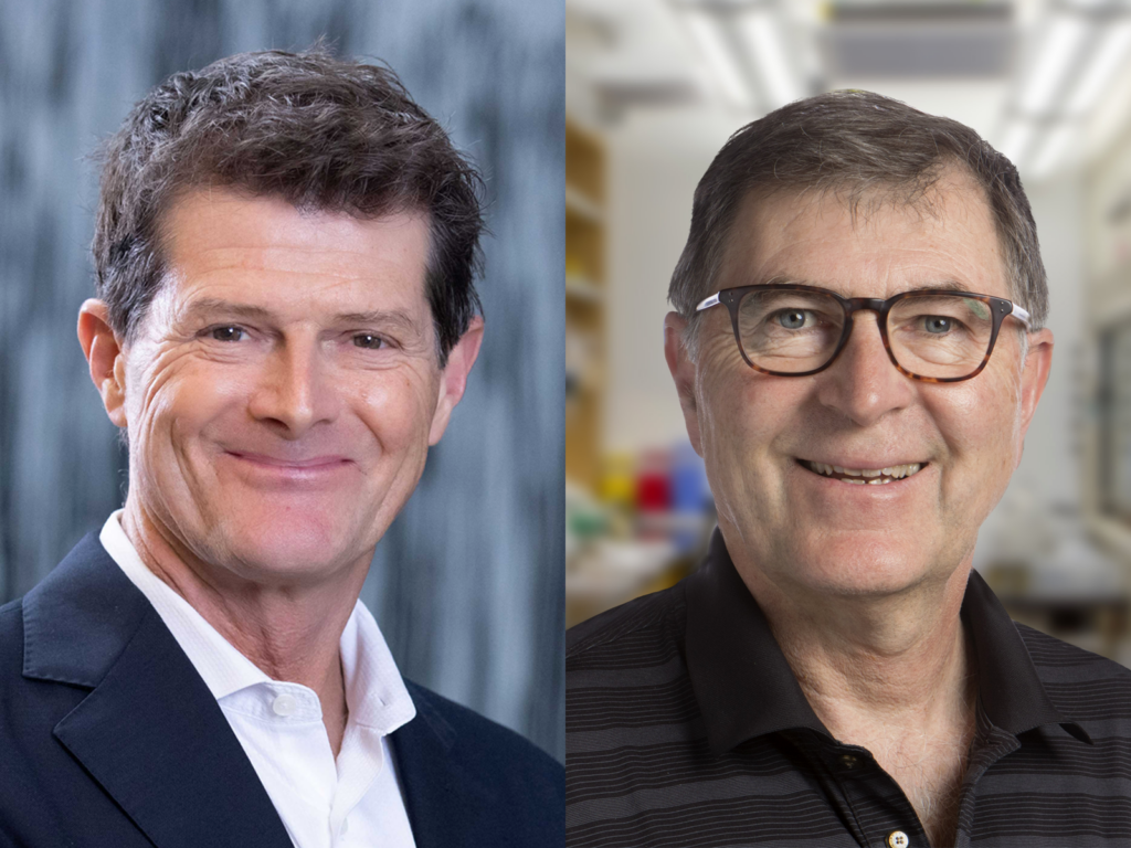 They discovered mechanisms that prevent autoimmune disease